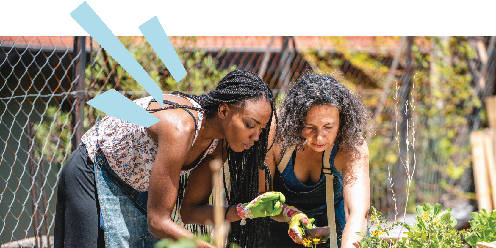 Salesforce Solutions for Community-Based Organizations | Fíonta